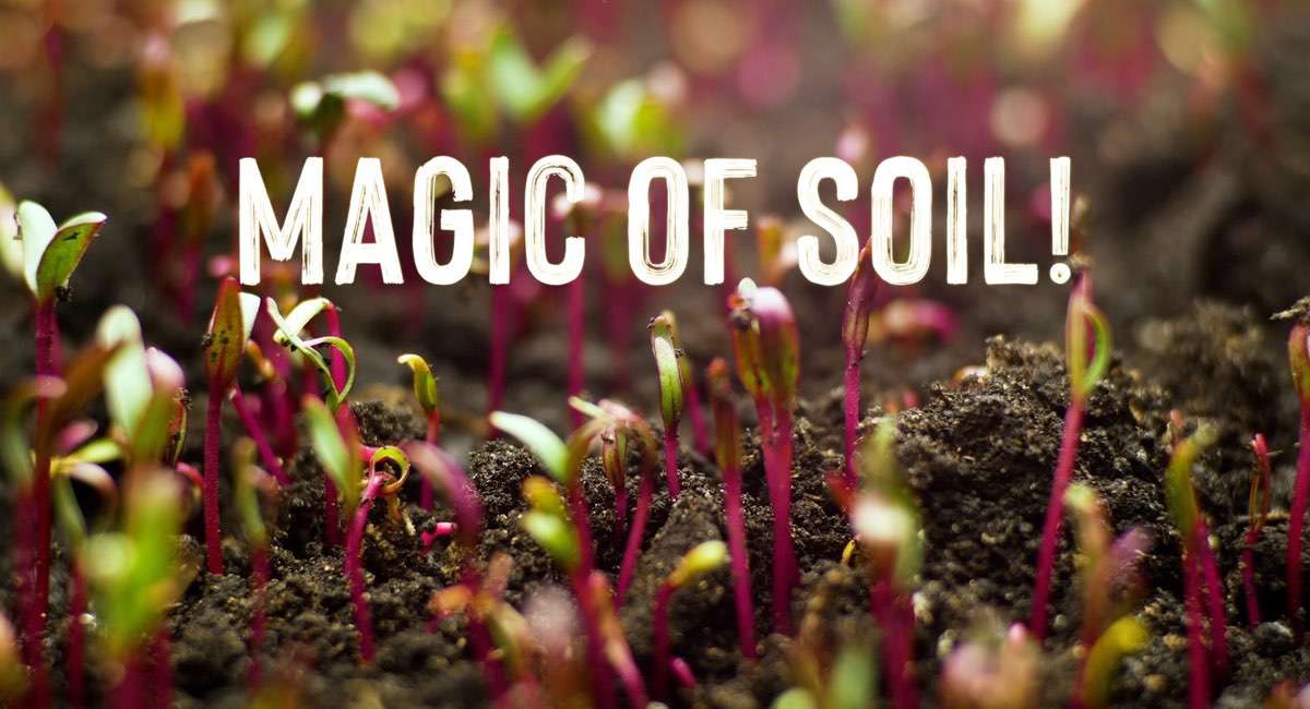 How To Save Soil - The Source of Our Life